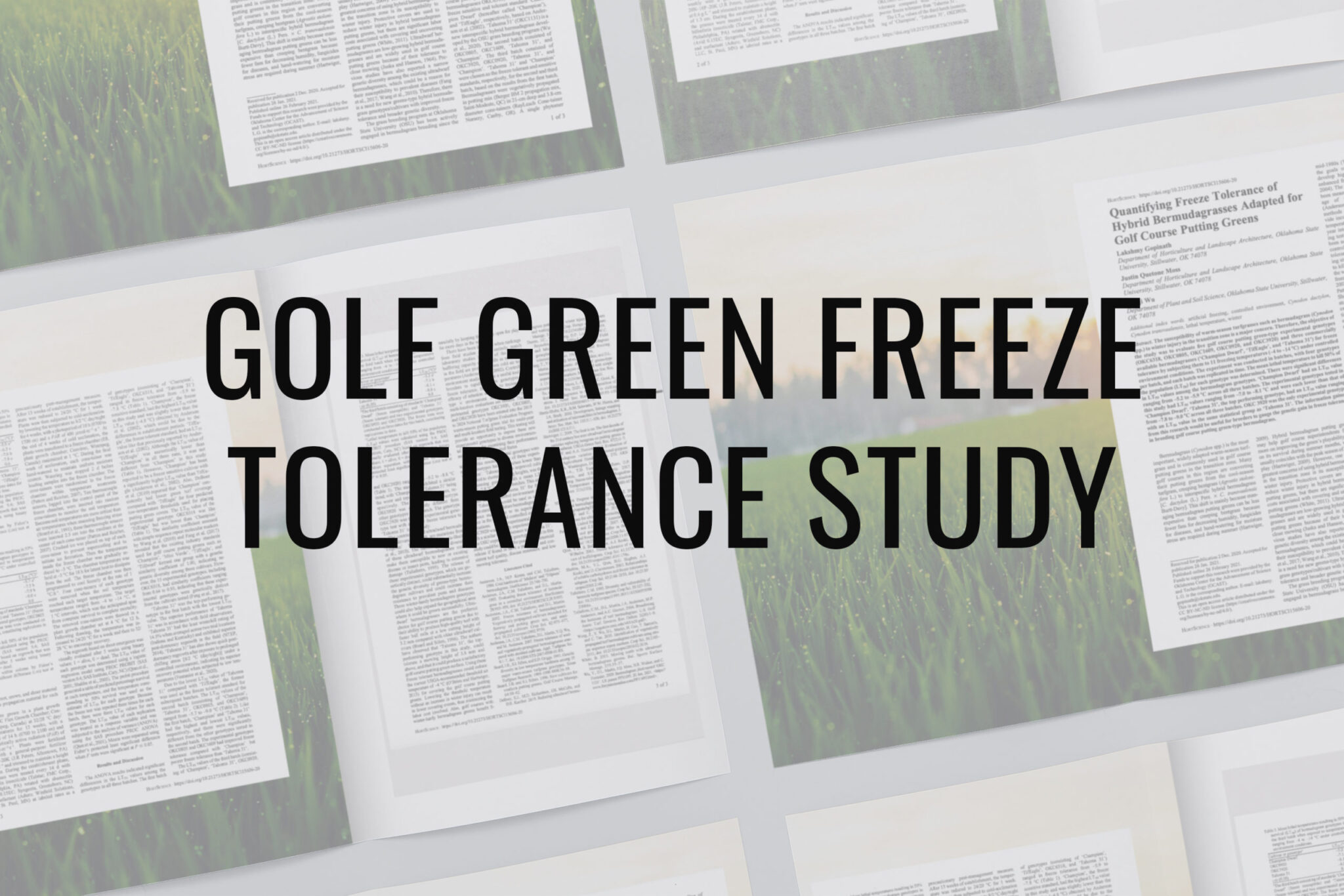 Golf Green Freeze Tolerance Study - Tahoma 31
