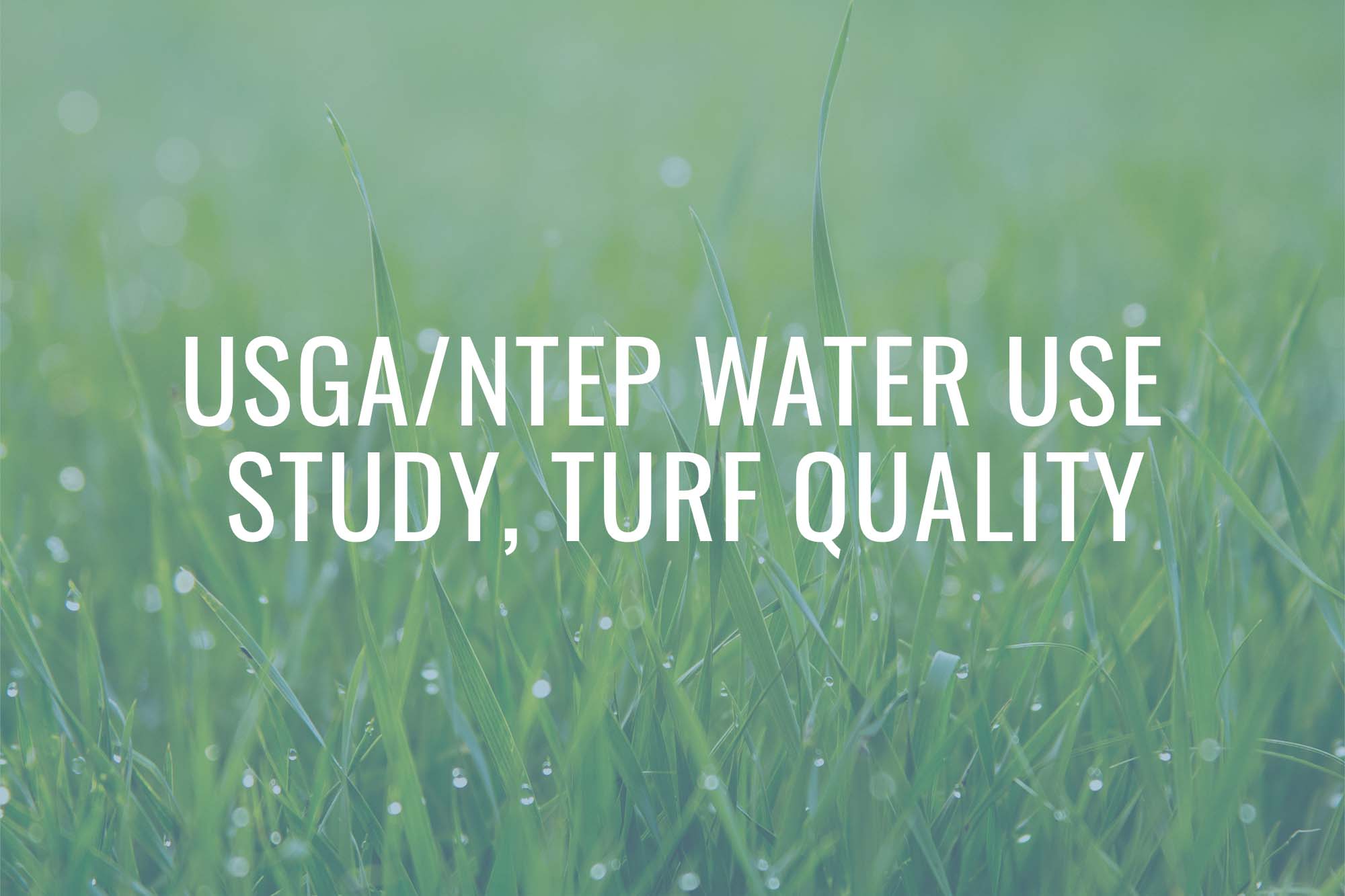 USGA/NTEP Water Use Study, Turf Quality - Tahoma 31